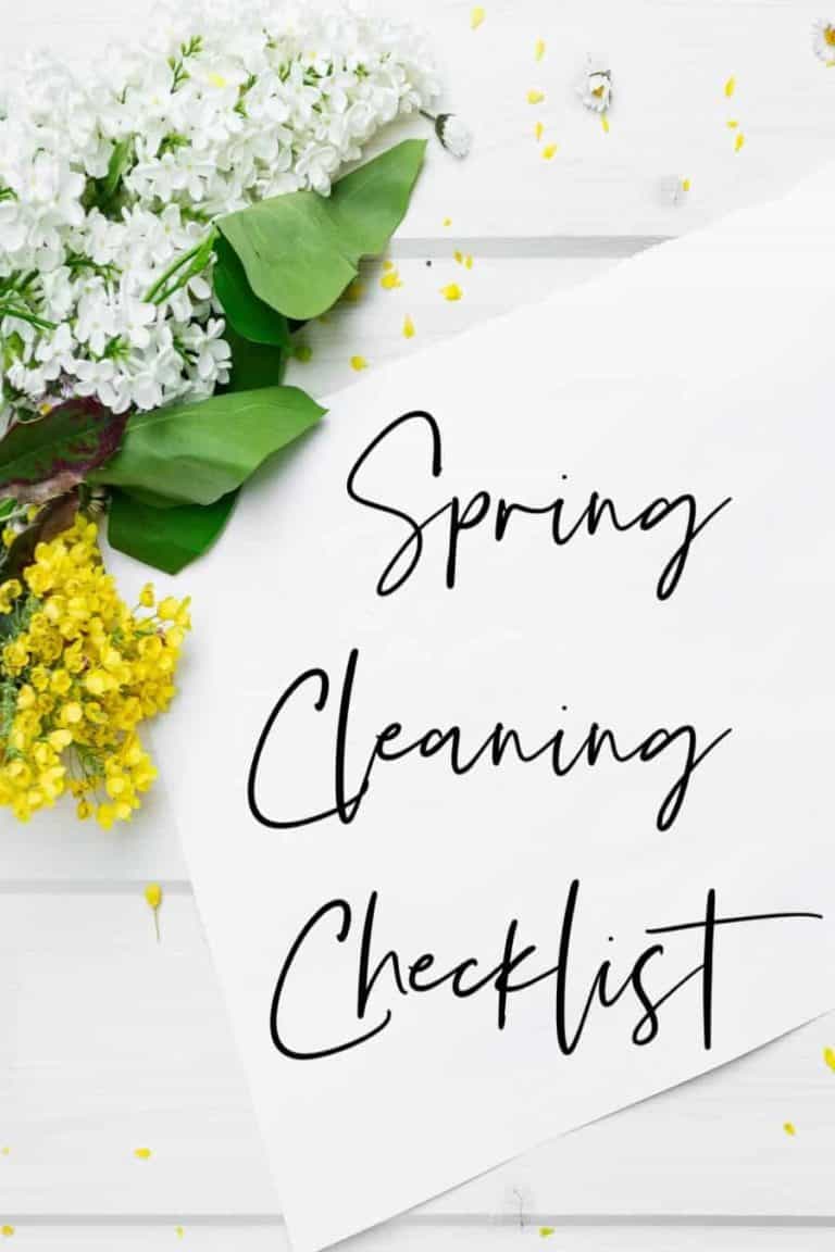 27 Spring Cleaning Tips - From Michigan To The Table