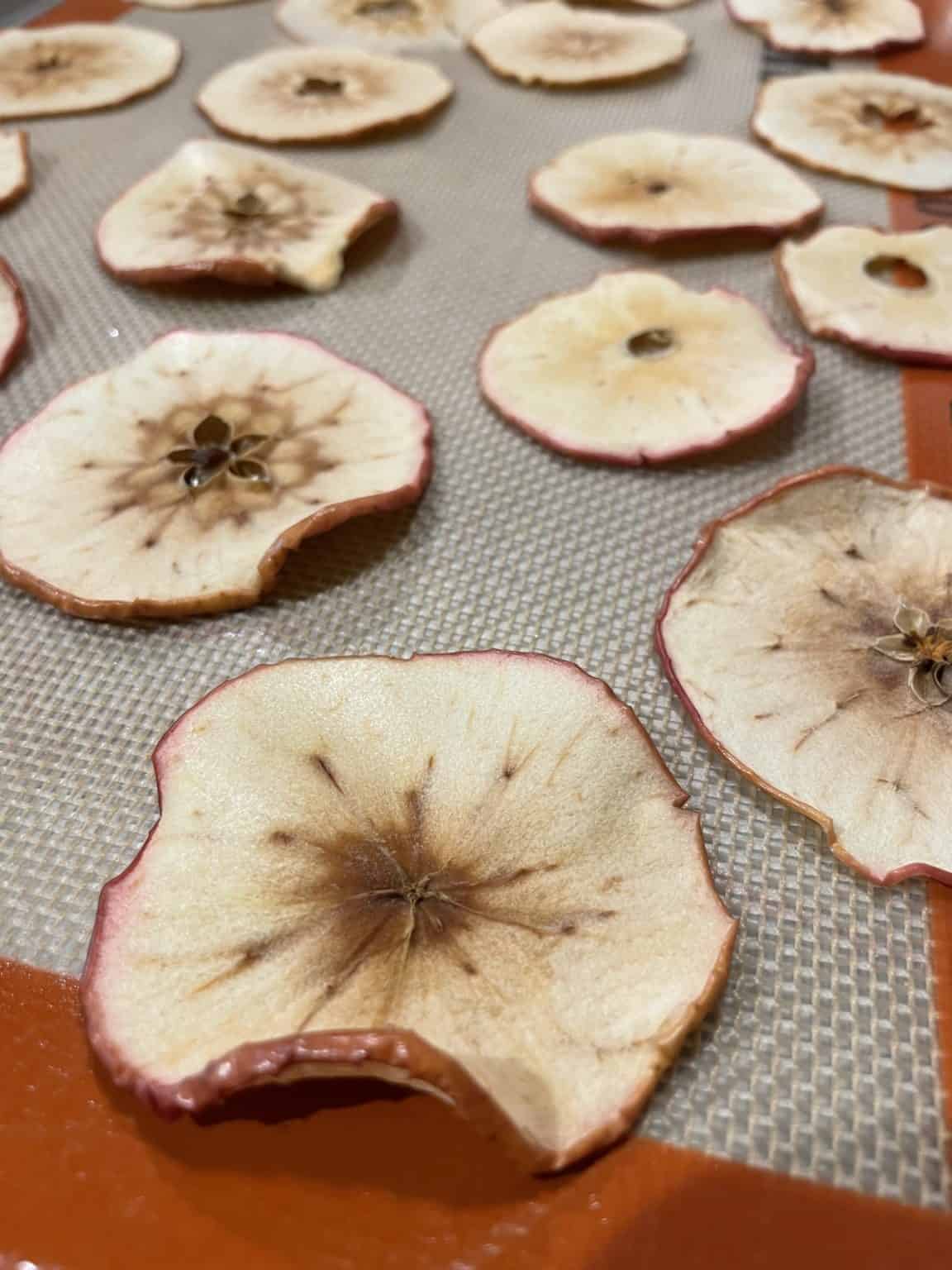 Best Dried Apples - From Michigan To The Table