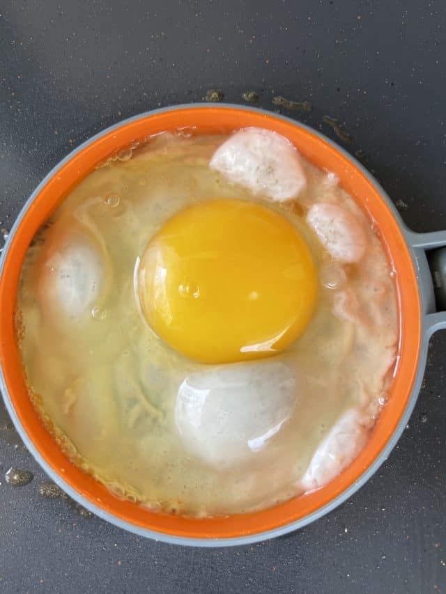 Egg Patties - From Michigan To The Table