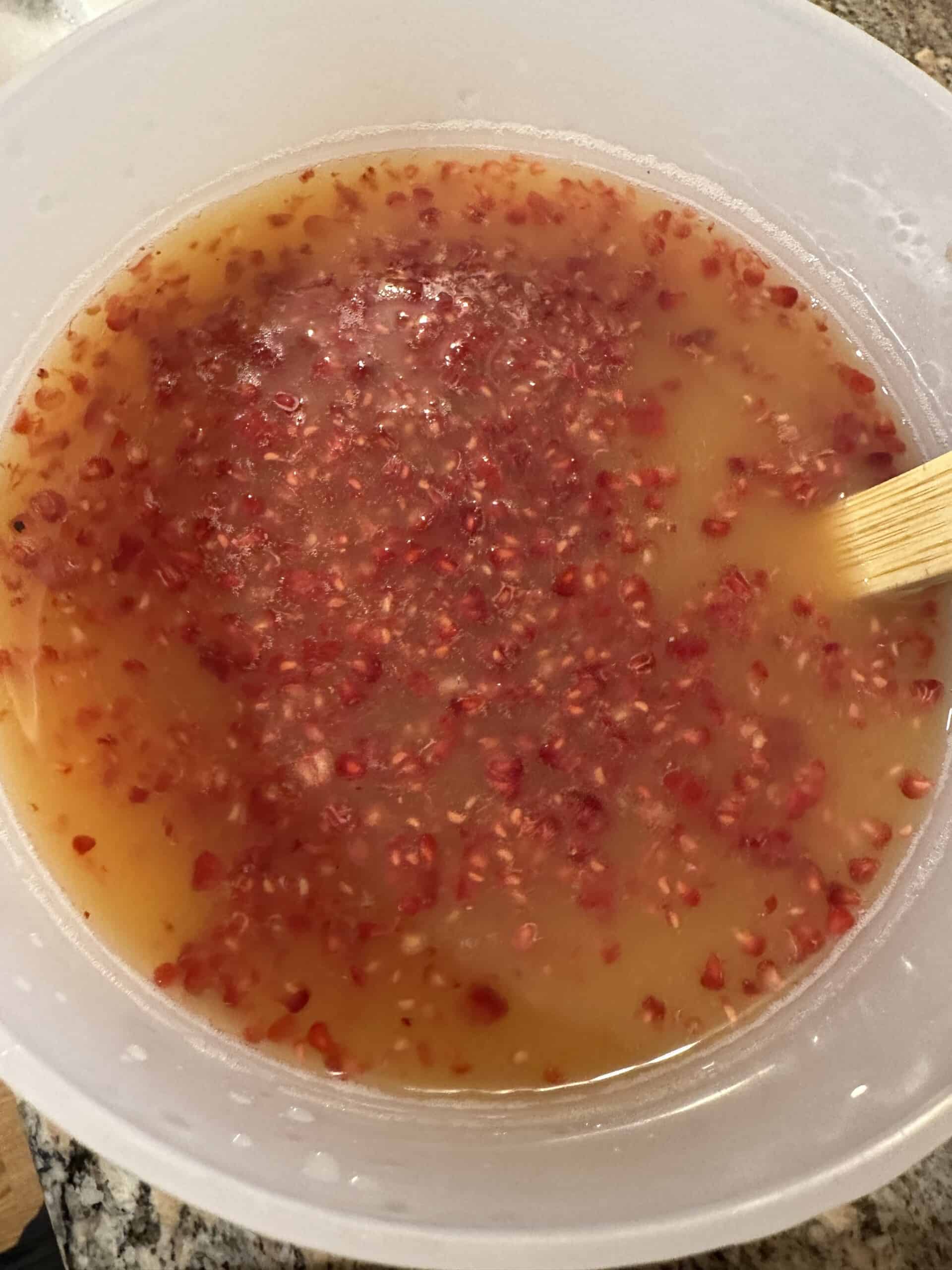 Frozen Raspberry Slushie - From Michigan To The Table