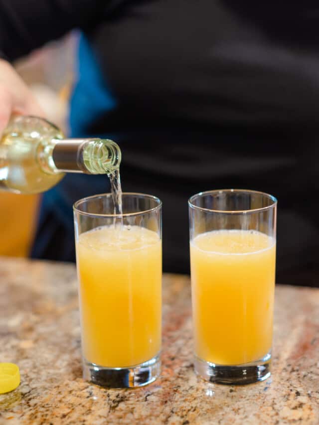 Wine Slushie Recipe - From Michigan To The Table