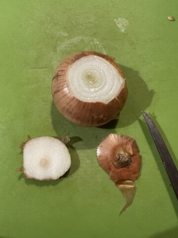 Blackstone Onion Volcano - From Michigan To The Table