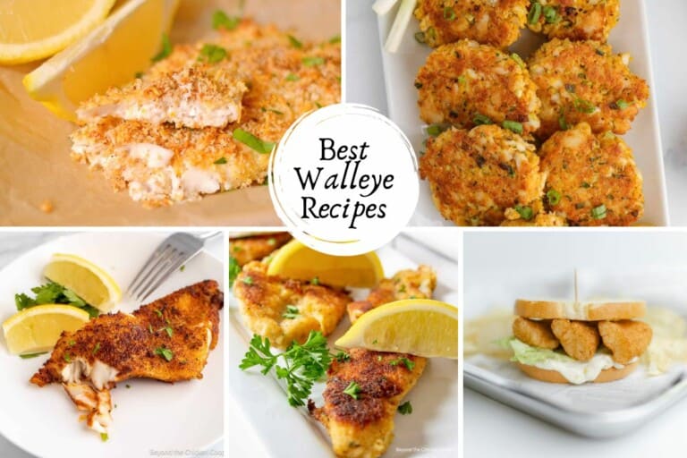 13 Best Walleye Recipes - From Michigan To The Table