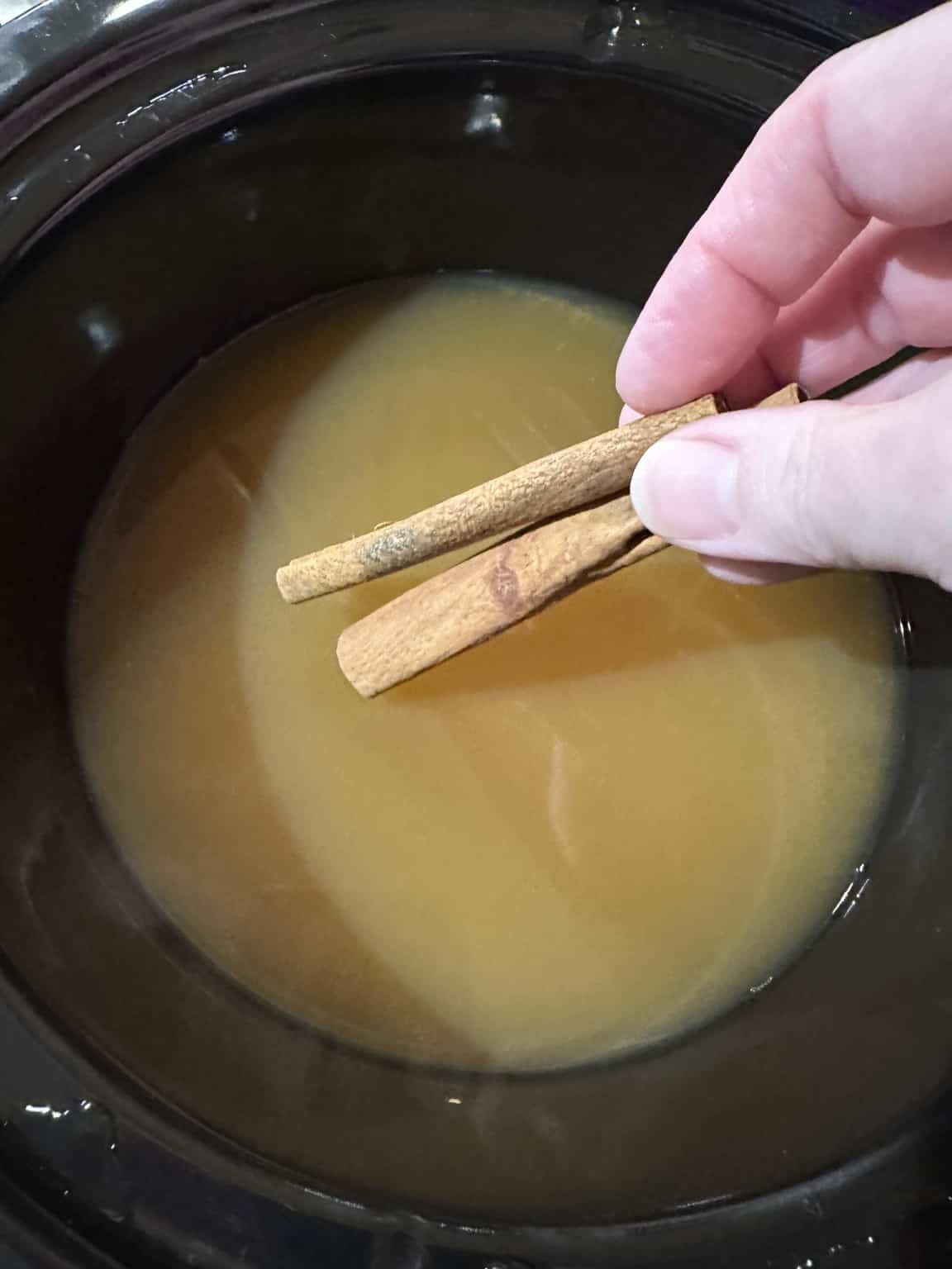 Hot Apple Cider Recipe - From Michigan To The Table