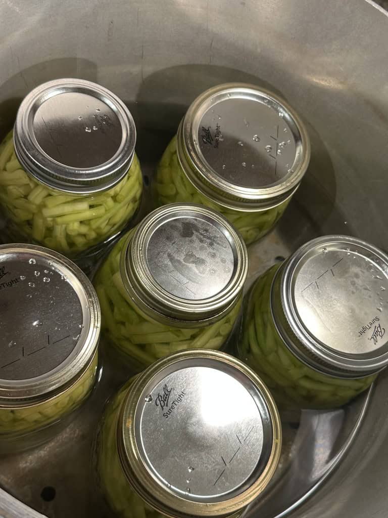 Canning Yellow Beans - From Michigan To The Table