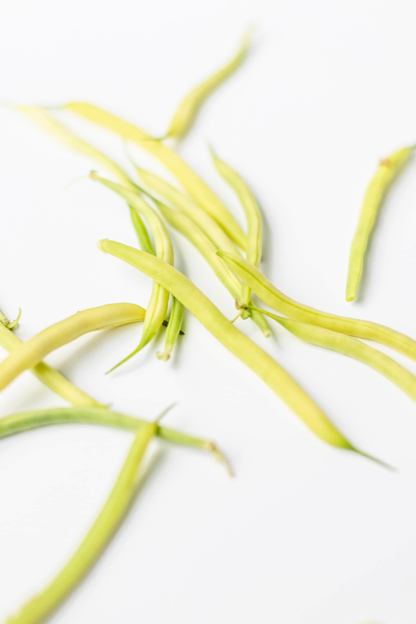 Canning Yellow Beans - From Michigan To The Table